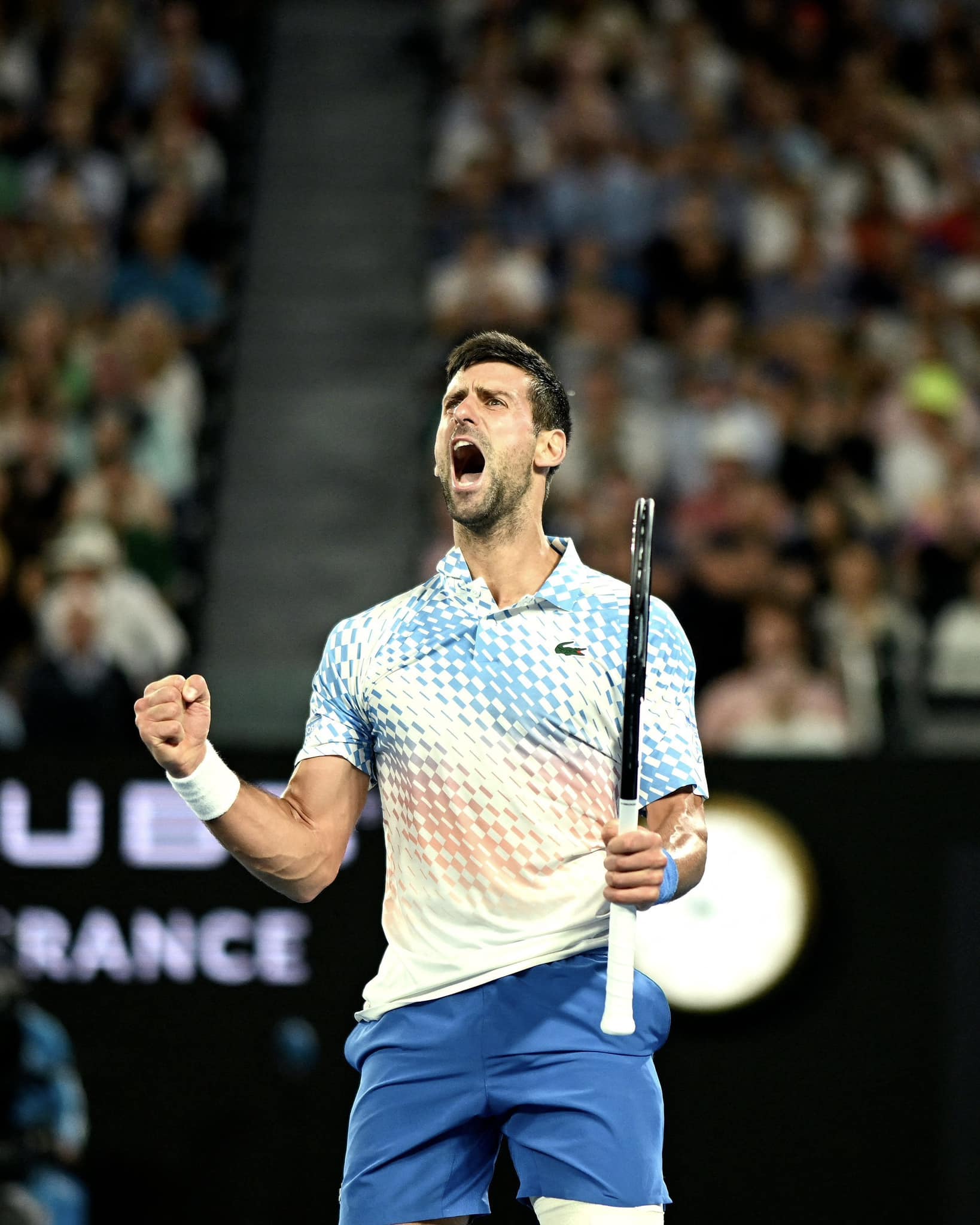Novak Djokovic Vermögen