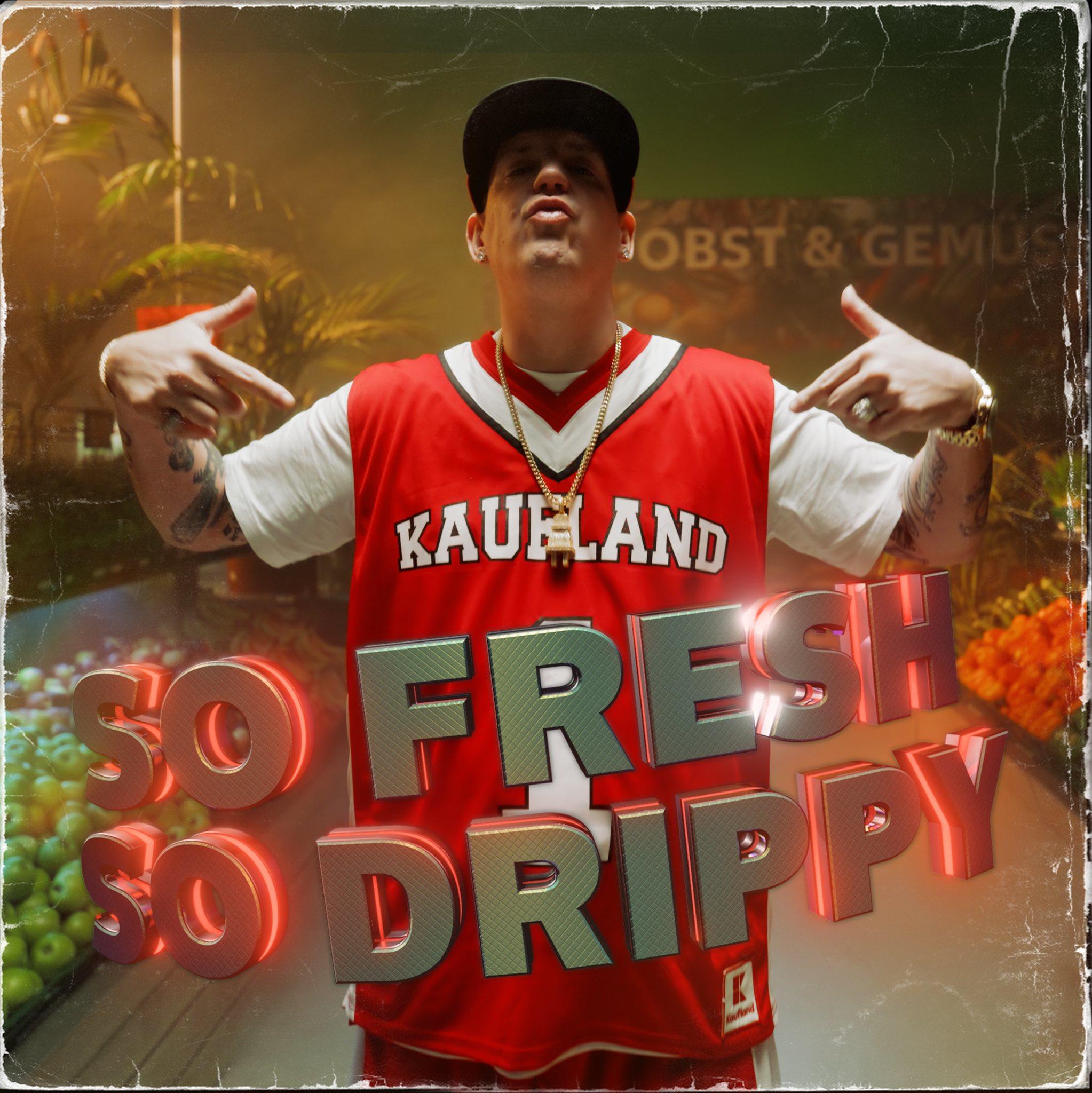 Money Boy Vermögen